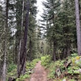 String Lake Trail, Wyoming - 2,470 Reviews, Map | AllTrails