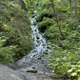 Two Lakes Trail, Alaska - 567 Reviews, Map | AllTrails