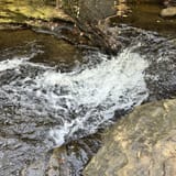 Kinlock Falls, Alabama - 273 Reviews, Map | AllTrails