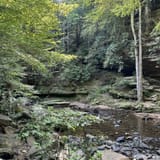 Kinlock Falls, Alabama - 273 Reviews, Map | AllTrails