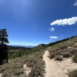 Tamarack Peak Loop, Nevada - 1,083 Reviews, Map | AllTrails