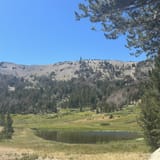 Tamarack Peak Loop, Nevada - 1,083 Reviews, Map | AllTrails