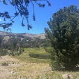 Tamarack Peak Loop, Nevada - 1,083 Reviews, Map | AllTrails
