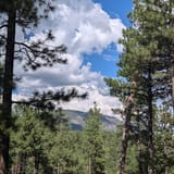 Mars Hill Trail Loop, Arizona - 1,917 Reviews, Map | AllTrails