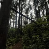 Keeha Beach via Cape Beale-Keeha Trailhead, British Columbia, Canada ...