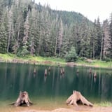 Spider Lake Trail, Washington - 236 Reviews, Map | AllTrails