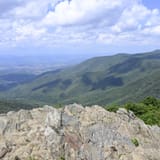 Hawksbill Loop Trail, Virginia - 4,810 Reviews, Map | AllTrails