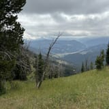 Cinnamon Mountain Trail, Montana - 231 Reviews, Map | AllTrails
