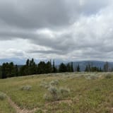 Cinnamon Mountain Trail, Montana - 231 Reviews, Map | AllTrails