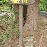 Gorge Trail Loop, New York - 623 Reviews, Map | AllTrails