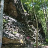 Alberton Road Trail, Maryland - 1,393 Reviews, Map | AllTrails