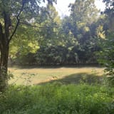 Alberton Road Trail, Maryland - 1,405 Reviews, Map | AllTrails