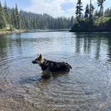 Tenas Lakes via Benson Lake Trail, Oregon - 328 Reviews, Map | AllTrails