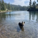 Tenas Lakes via Benson Lake Trail, Oregon - 328 Reviews, Map | AllTrails