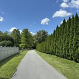 Ironton Rail Trail, Pennsylvania - 1,502 Reviews, Map | AllTrails