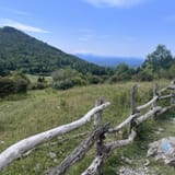 Massie Gap and Wilburn Ridge Loop, Virginia - 1,053 Reviews, Map ...
