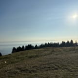 Lower Cascade Head Trail, Oregon - 2,564 Reviews, Map | AllTrails