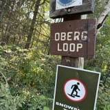Oberg Mountain Loop Via Superior Hiking Trail, Minnesota - 1,594 ...
