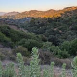 Fryman Canyon Trail, California - 6,445 Reviews, Map | AllTrails