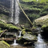 Jacoby Falls Trail, Pennsylvania - 651 Reviews, Map | AllTrails