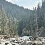 Panther Falls Trail, Alberta, Canada - 331 Reviews, Map | AllTrails