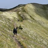 Hope Point, Alaska - 510 Reviews, Map | AllTrails