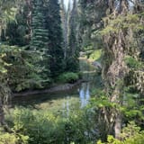 Spectacle Lake, Washington - 669 Reviews, Map | AllTrails