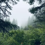 June Lake Trail, Washington - 825 Reviews, Map | AllTrails