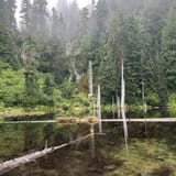 June Lake Trail, Washington - 825 Reviews, Map | AllTrails