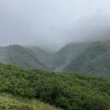 Kesugi Ridge (Curry Ridge) Trail, Alaska - 224 Reviews, Map | AllTrails