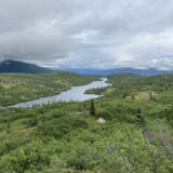 Kesugi Ridge (Curry Ridge) Trail, Alaska - 223 Reviews, Map | AllTrails