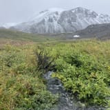 Kesugi Ridge (Curry Ridge) Trail, Alaska - 224 Reviews, Map | AllTrails