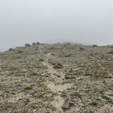 Kesugi Ridge (Curry Ridge) Trail, Alaska - 223 Reviews, Map | AllTrails