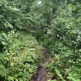 Kesugi Ridge (Curry Ridge) Trail, Alaska - 223 Reviews, Map | AllTrails
