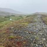 Kesugi Ridge (Curry Ridge) Trail, Alaska - 224 Reviews, Map | AllTrails