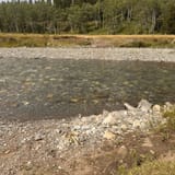 Carnarvon Lake, Alberta, Canada - 770 Reviews, Map | AllTrails