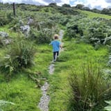 Capel Curig Circular, Conwy, Wales - 390 Reviews, Map | AllTrails