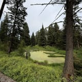 Beaver Ponds Loop Trail, Montana - 1,487 Reviews, Map | AllTrails
