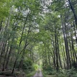 Explorer Loop, North Carolina - 447 Reviews, Map | AllTrails