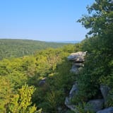 Wolf Rocks Trail, Pennsylvania - 1,542 Reviews, Map | AllTrails