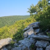 Wolf Rocks Trail, Pennsylvania - 1,542 Reviews, Map | AllTrails