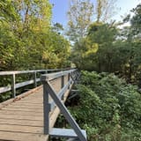 Tanyard Perimeter Loop, Arkansas - 3,137 Reviews, Map | AllTrails