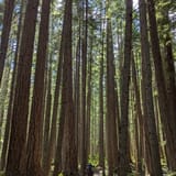 Royal Basin and Royal Lake, Washington - 754 Reviews, Map | AllTrails