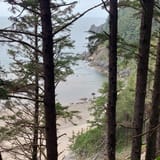 Cape Falcon Trail, Oregon - 4,288 Reviews, Map | AllTrails