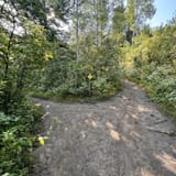 Triple Tree Trail, Montana - 1,406 Reviews, Map | AllTrails