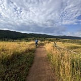 Triple Tree Trail, Montana - 1,406 Reviews, Map | AllTrails