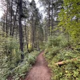 Triple Tree Trail, Montana - 1,406 Reviews, Map | AllTrails