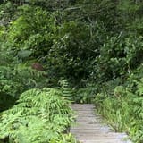 Sand Point Trail, Washington - 320 Reviews, Map | AllTrails