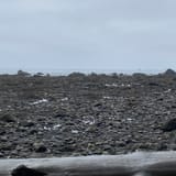 Sand Point Trail, Washington - 320 Reviews, Map | AllTrails