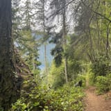 Pyramid Mountain Trail, Washington - 699 Reviews, Map | AllTrails